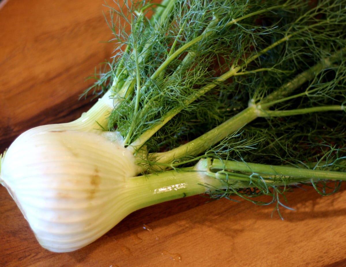How to Cut Up Fennel Bulb - The Wooden Skillet