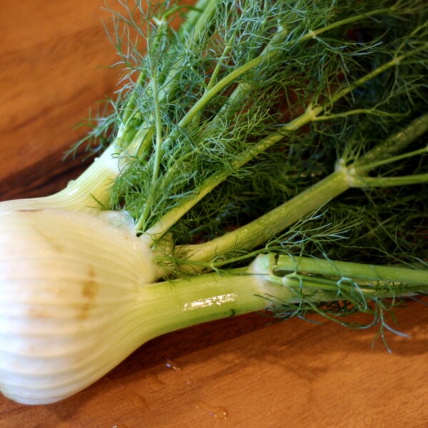 How to Cut Up Fennel Bulb - The Wooden Skillet