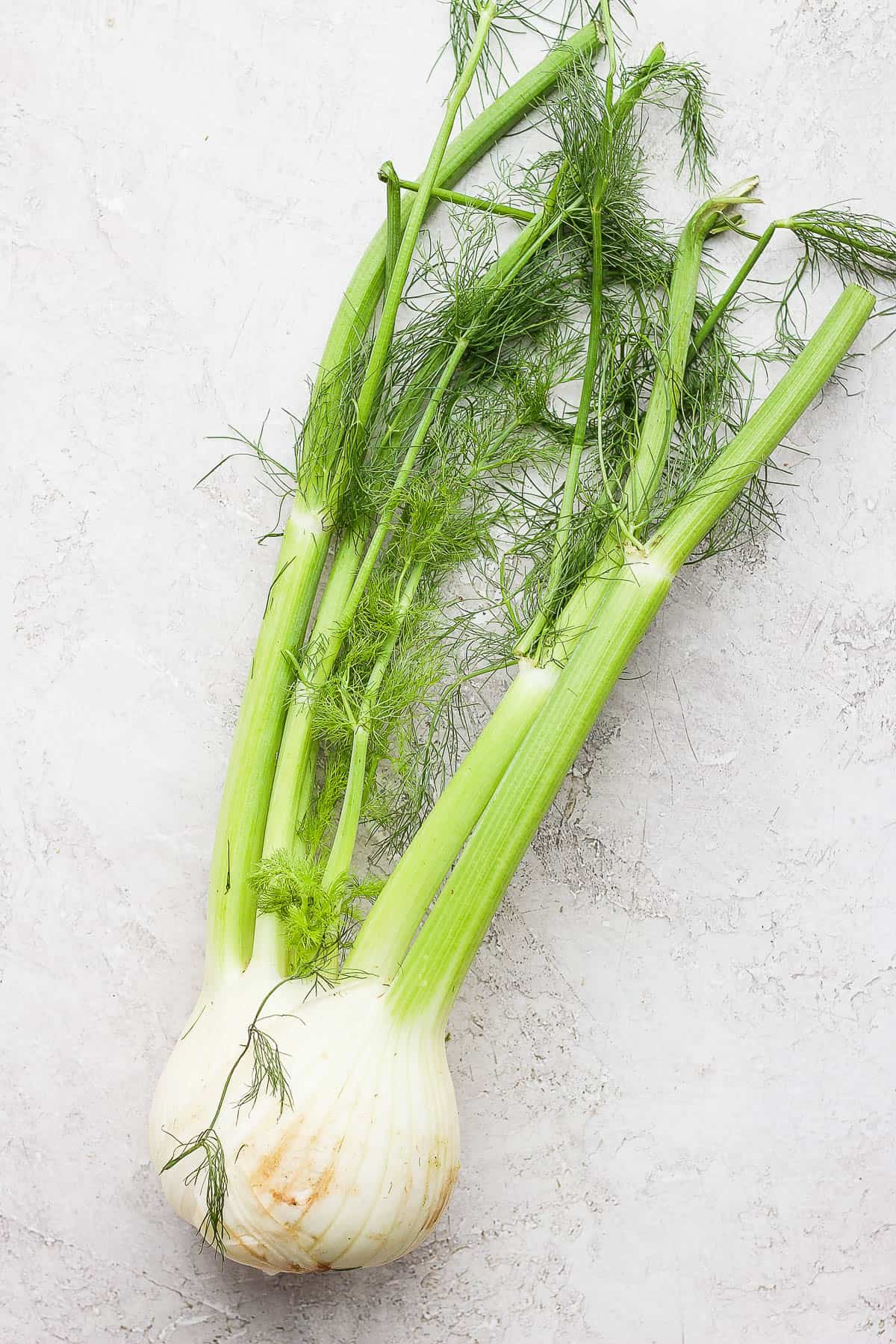 How to Cut Fennel - The Wooden Skillet