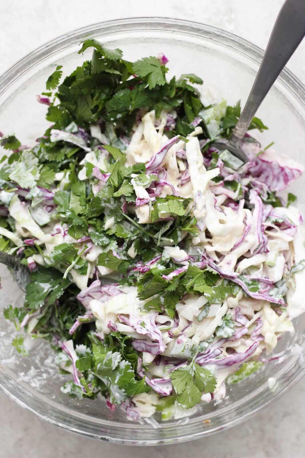 Purple Cabbage Slaw + Cilantro - The Wooden Skillet