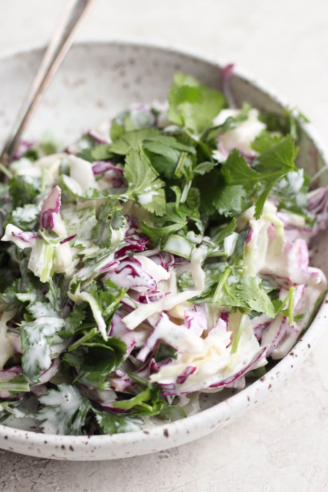 Purple Cabbage Slaw + Cilantro - The Wooden Skillet