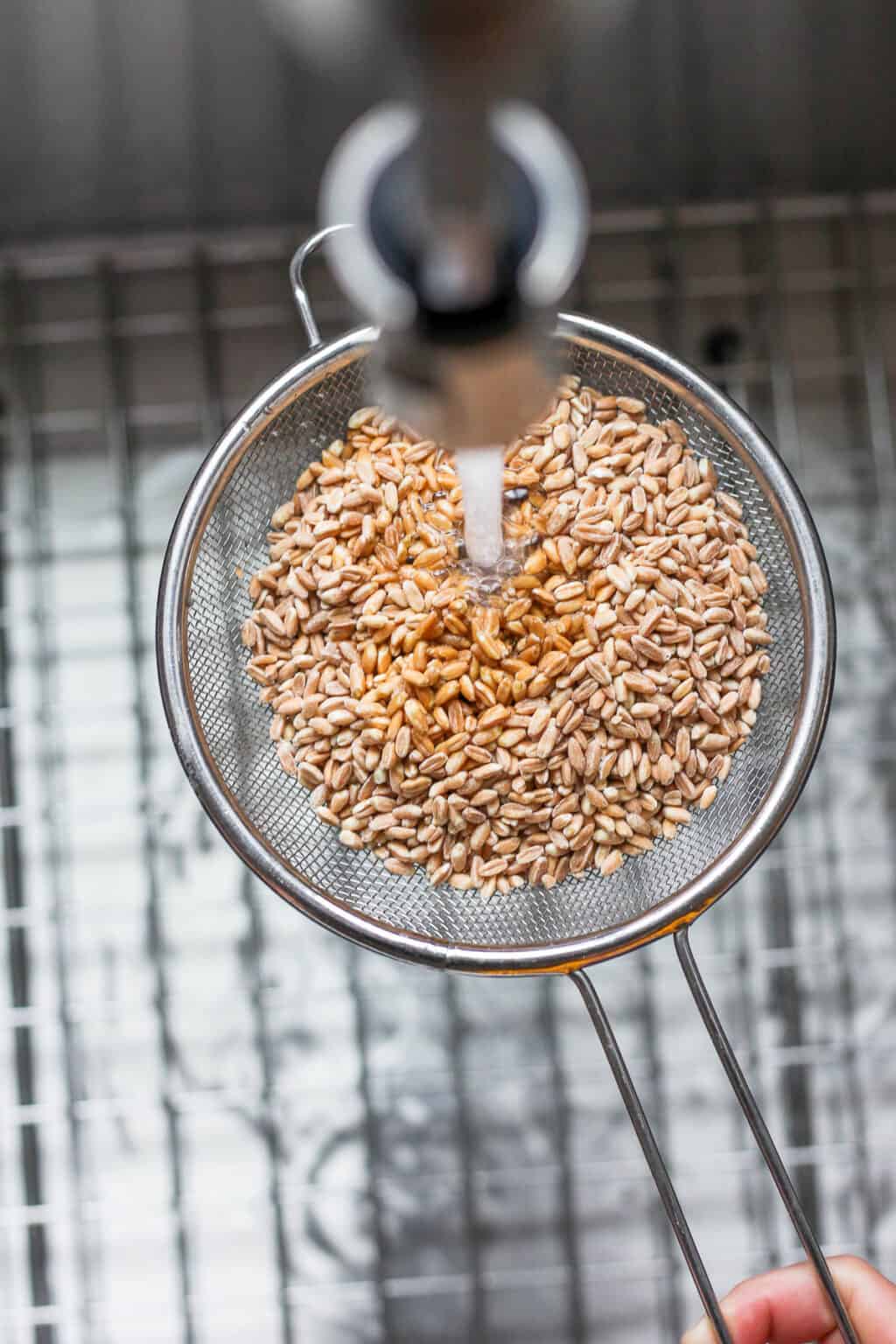 How to Cook Farro - The Wooden Skillet