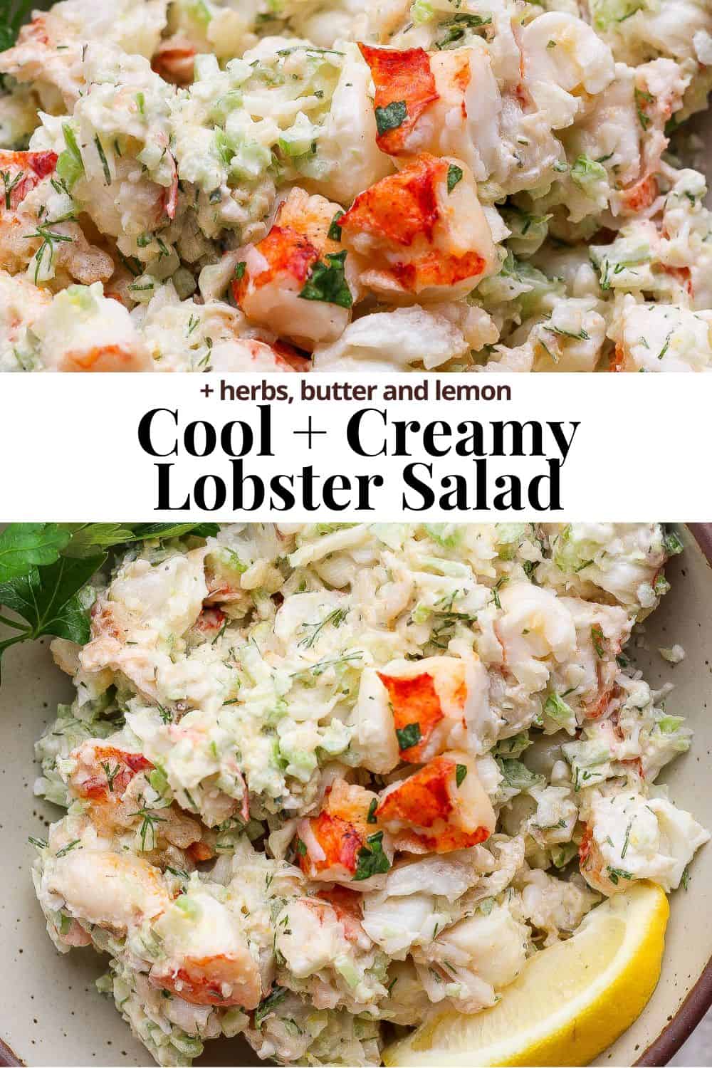 Light + Creamy Lobster Salad - The Wooden Skillet