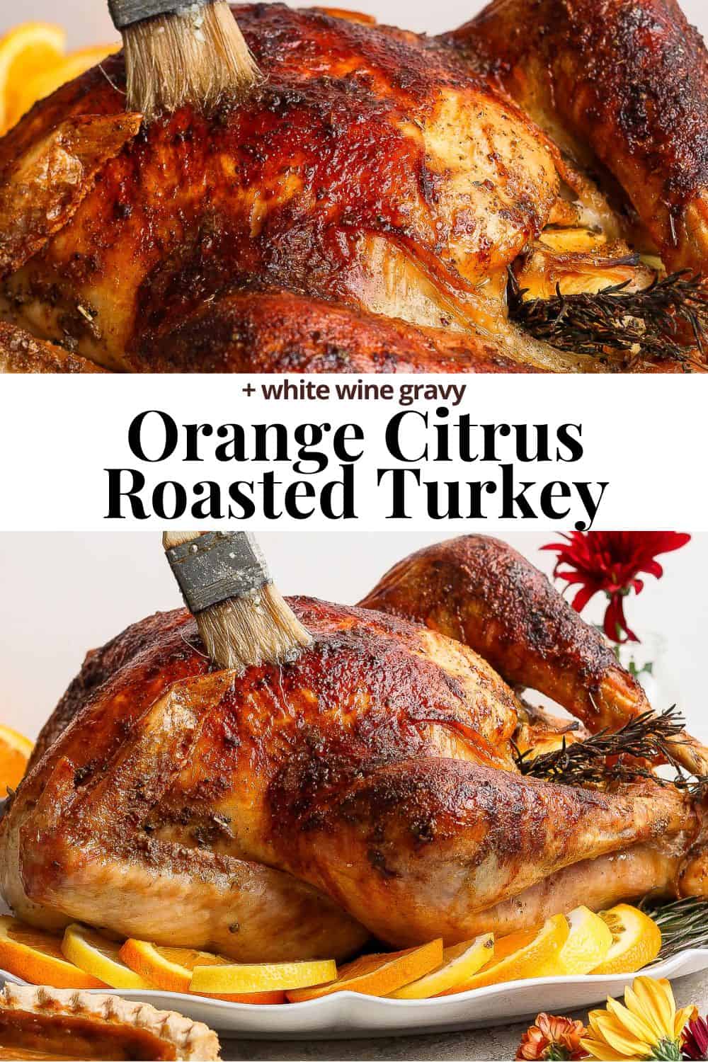Orange Turkey (+ dry rub and basting liquid) - The Wooden Skillet